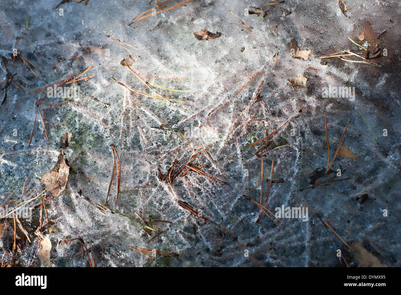 Ground frozen hi-res stock photography and images - Alamy