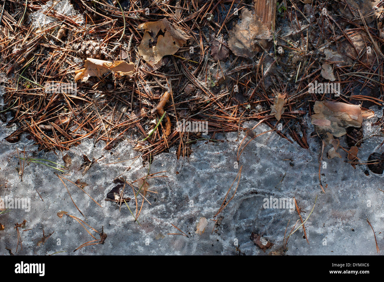 Ground frozen hi-res stock photography and images - Alamy