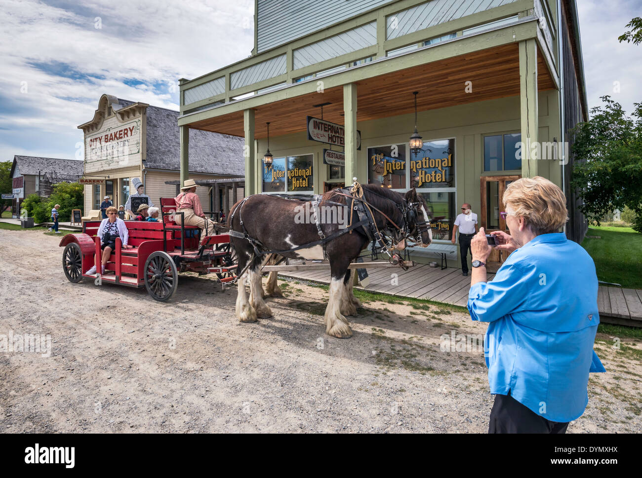 Horse-drawn wagon ride pulled by Clydesdale horses, Riverside Avenue in ...