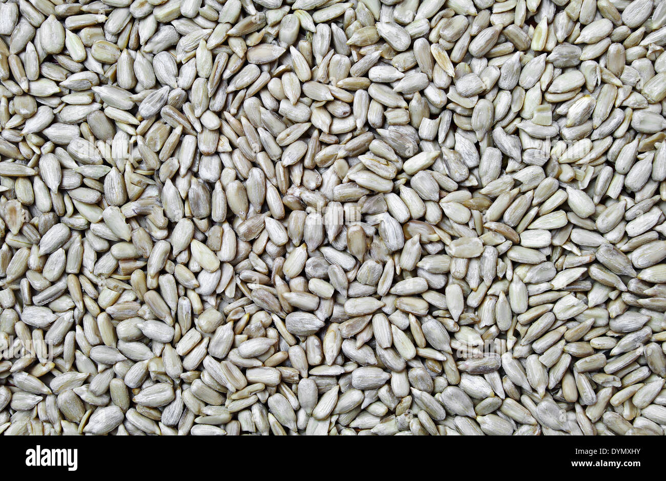 Texture of the peeled sunflower seeds Stock Photo - Alamy