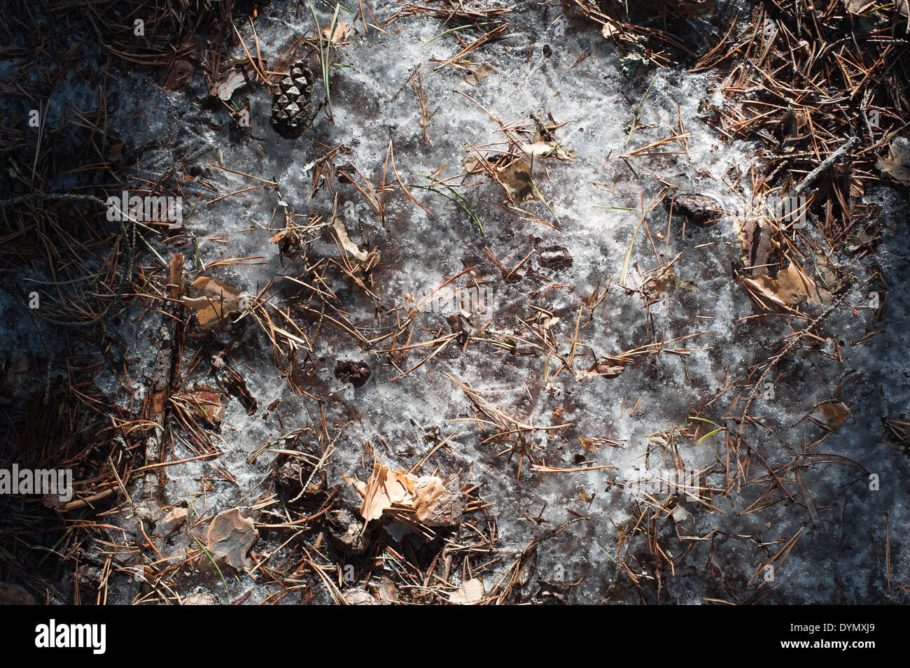 The frozen ground hi-res stock photography and images - Alamy