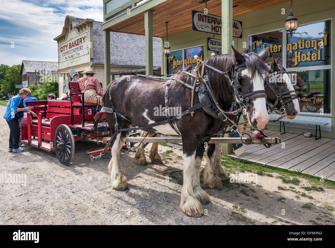 Horse-drawn wagon ride pulled by Clydesdale horses, Riverside Avenue in ...