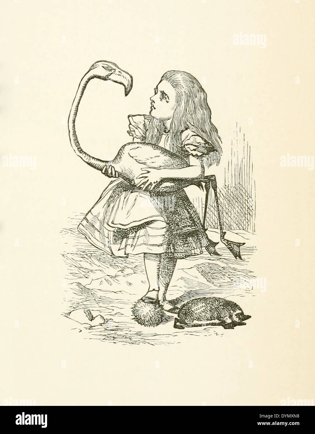 John Tenniel (1820-1914) illustration from Lewis Carroll's 'Alice in ...