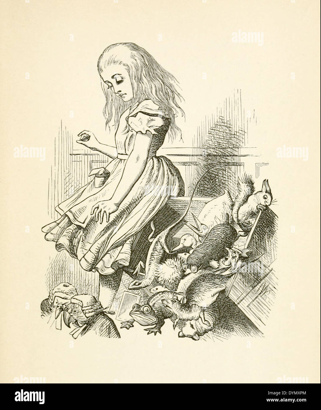John Tenniel (1820-1914) illustration from Lewis Carroll's 'Alice in ...