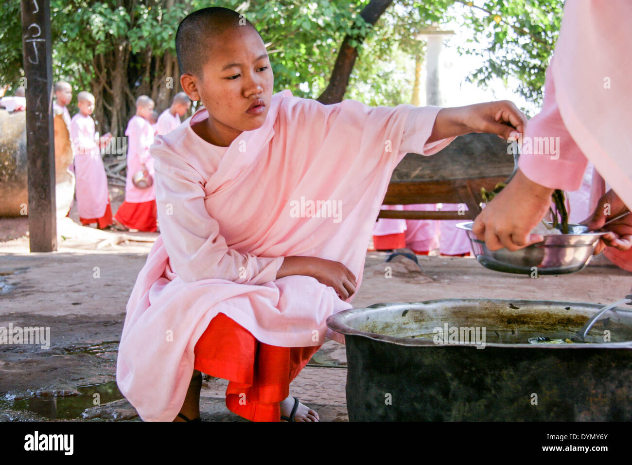 Nuns in a monastery Myanmar Burma Yangon Stock Photo - Alamy