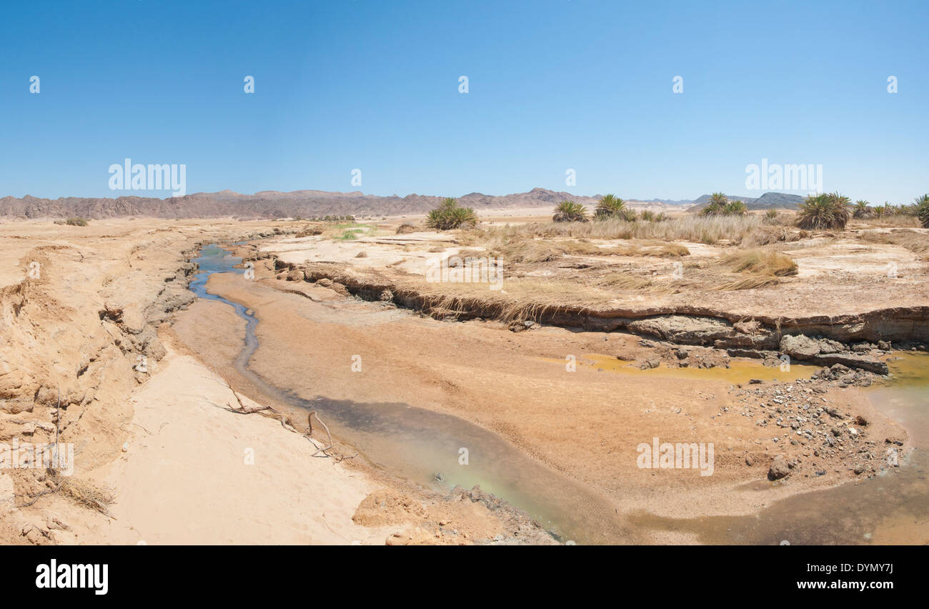 Small desert stream running through an oasis in arid desert landscape ...