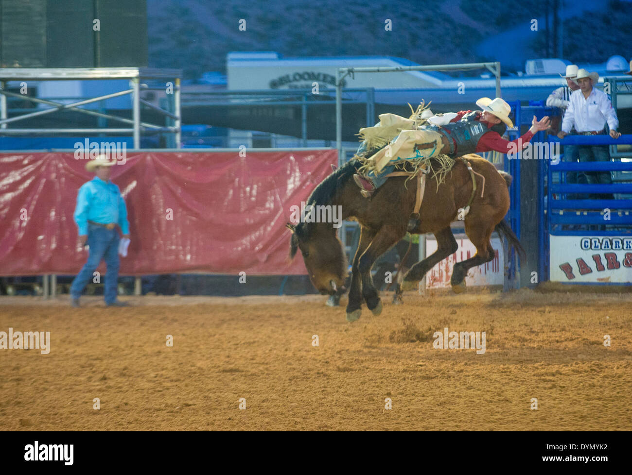 Cowboy Participating in a Bucking Horse Competition at the Clark County ...