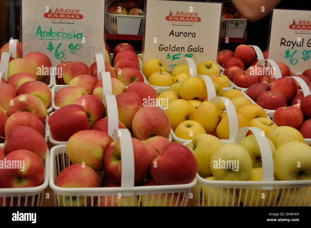 Ontario apples hi-res stock photography and images - Alamy