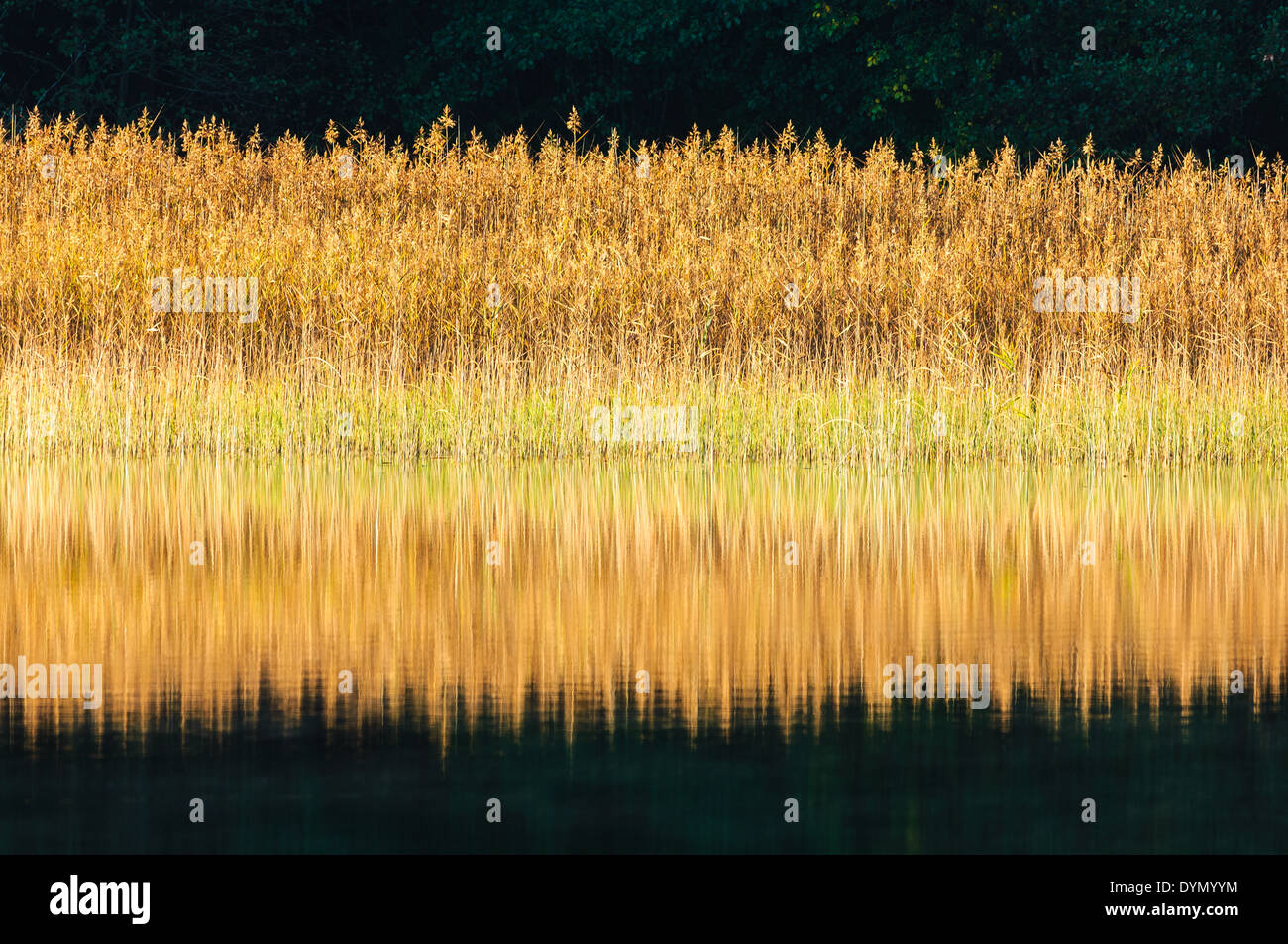 Utterstrom photography Stock Photos & Images from Alamy