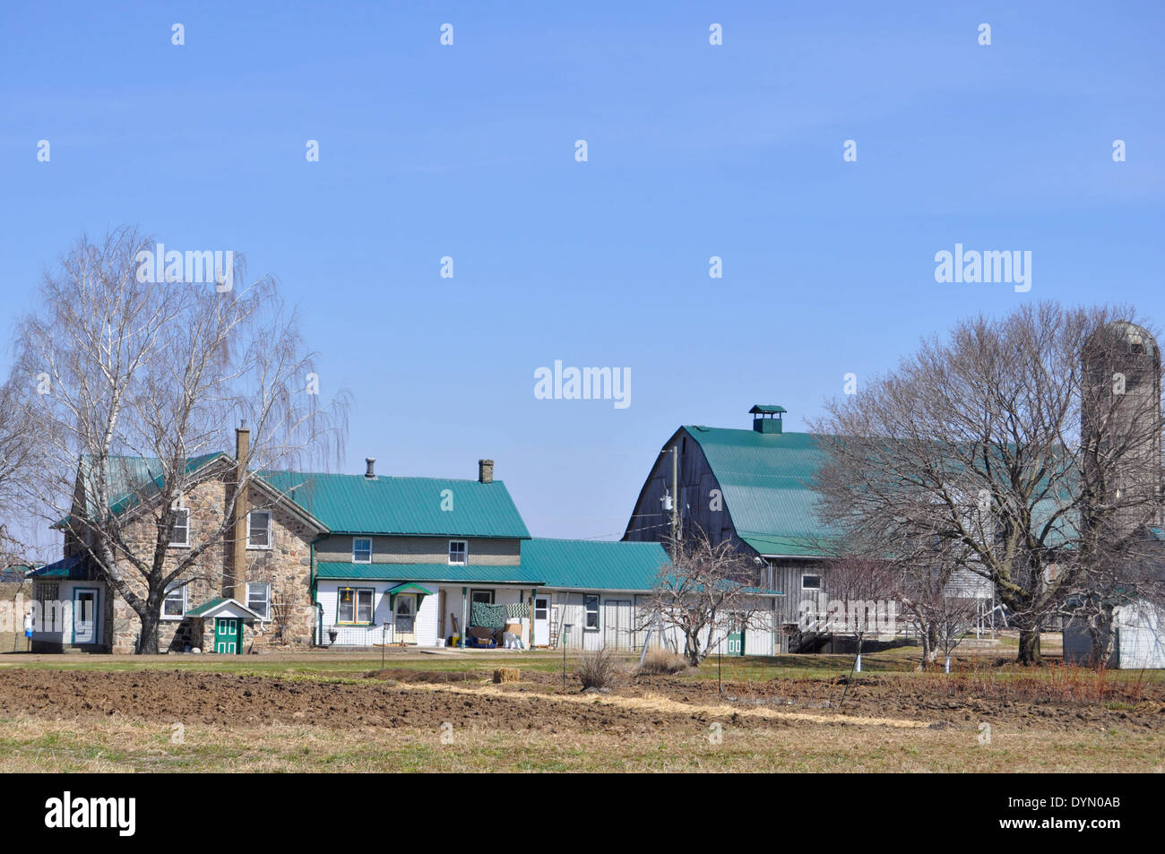 Working mennonite farm hi-res stock photography and images - Alamy