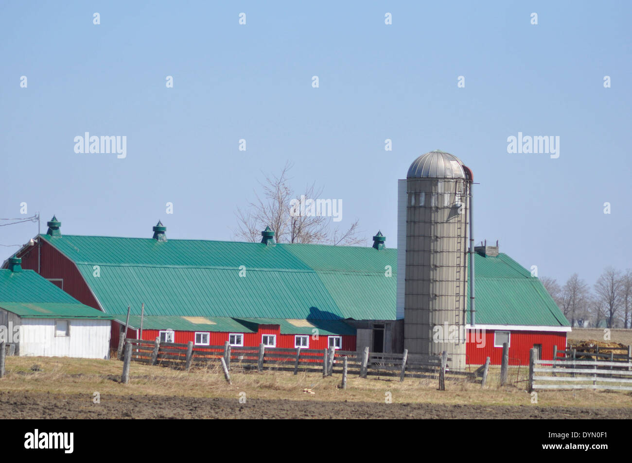 Working mennonite farm hi-res stock photography and images - Alamy
