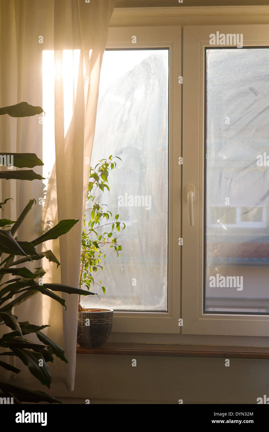 Dirty windows hi-res stock photography and images - Alamy