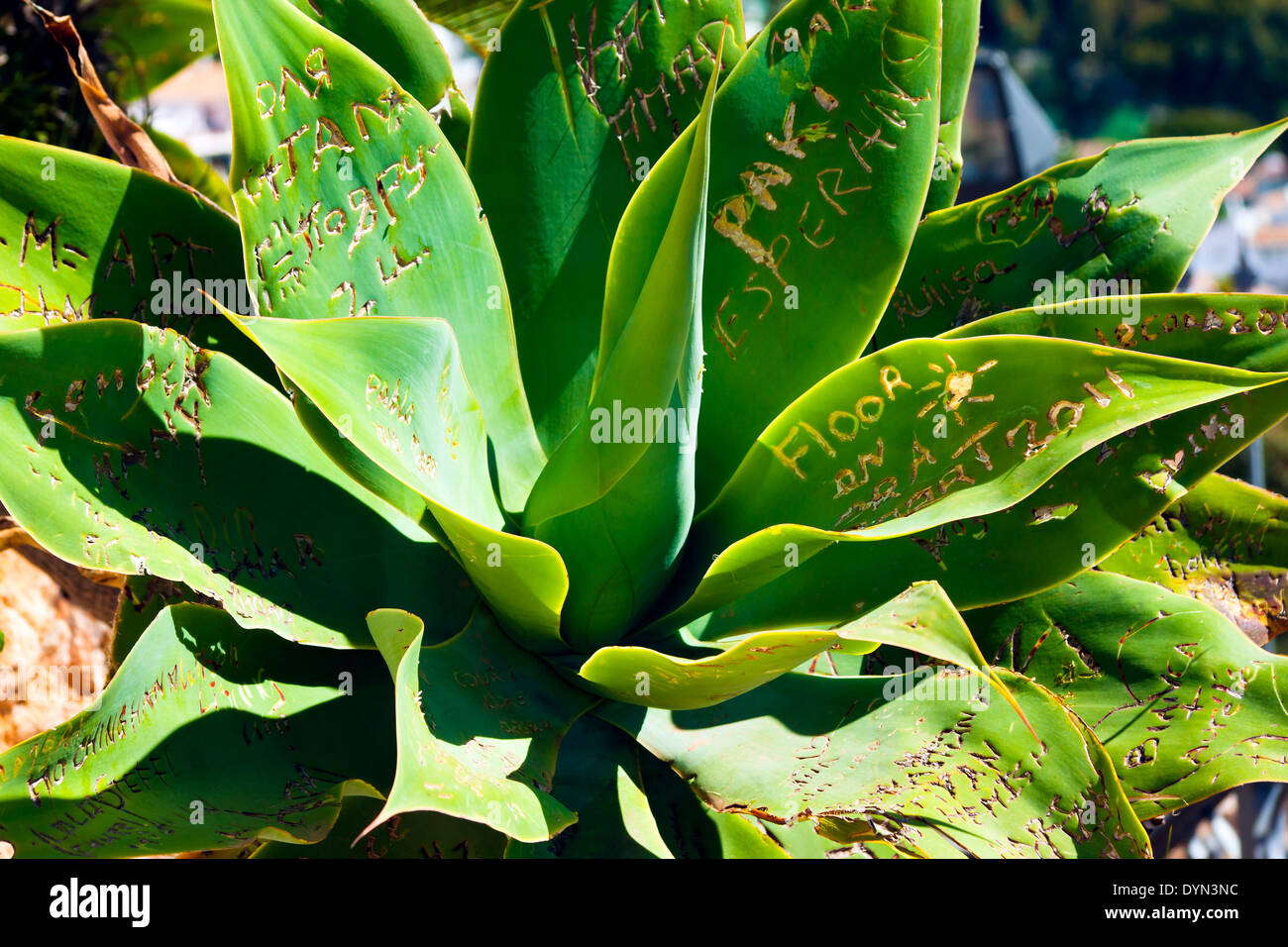 Inscription carved hi-res stock photography and images - Alamy