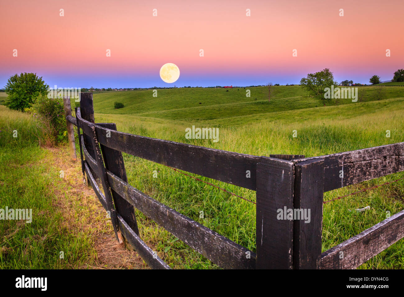 Moonrise in the Bluegrass region of Kentucky Stock Photo - Alamy