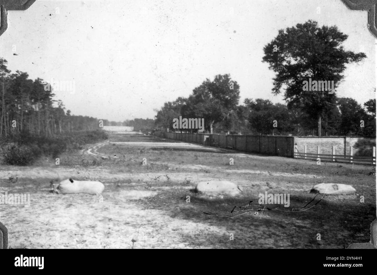 This photo from the Canal Zone shows a U.S. Navy radioman in action ...