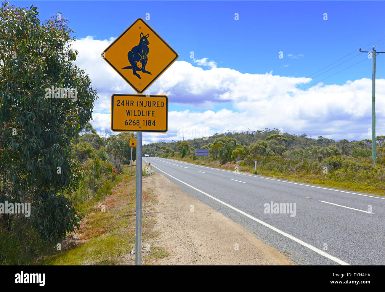 Kangaroo crossing road sign in Australia Stock Photo - Alamy