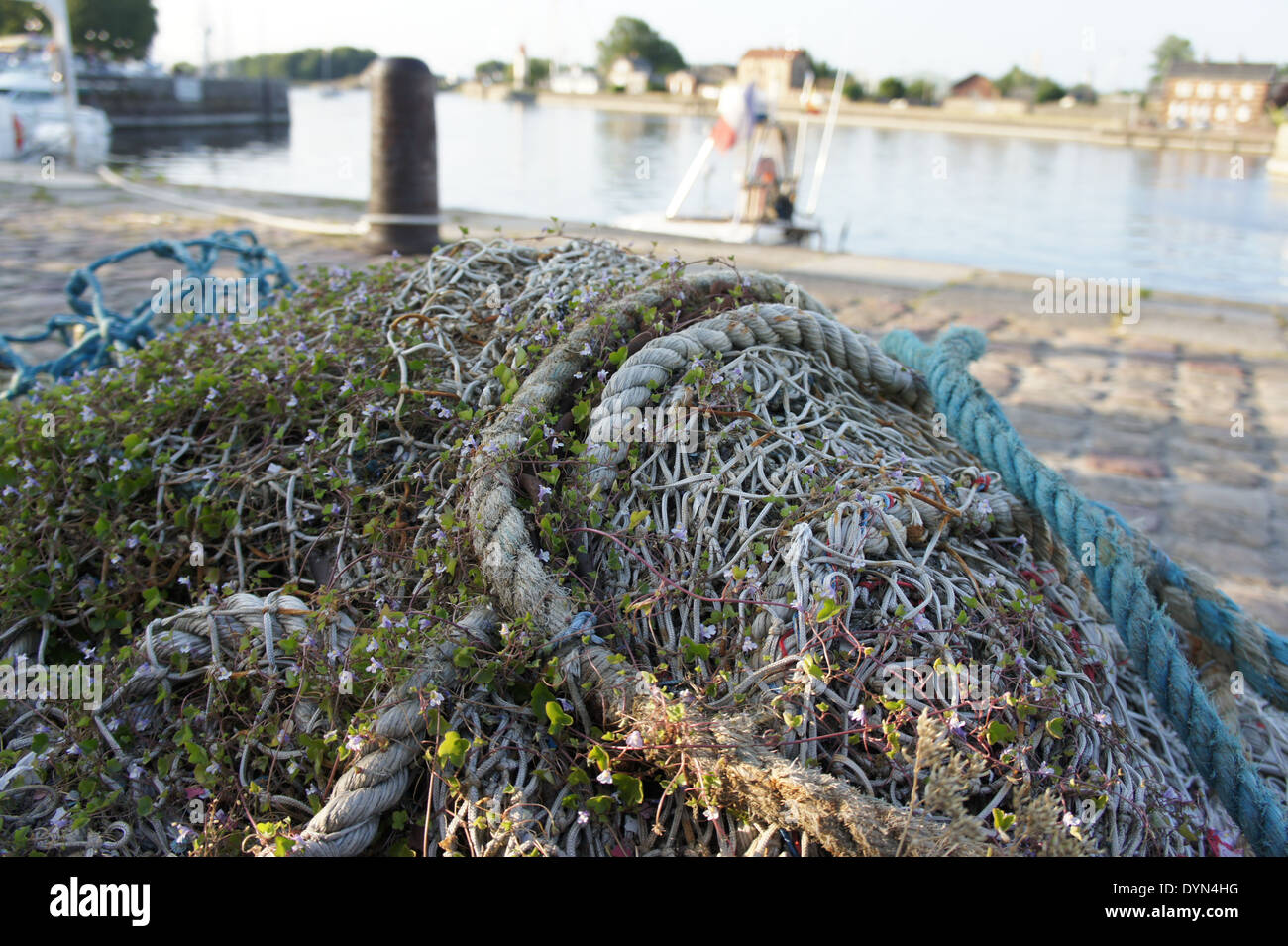 Abandoned pile of tangled fishing nets on the cobblestone pier in ...
