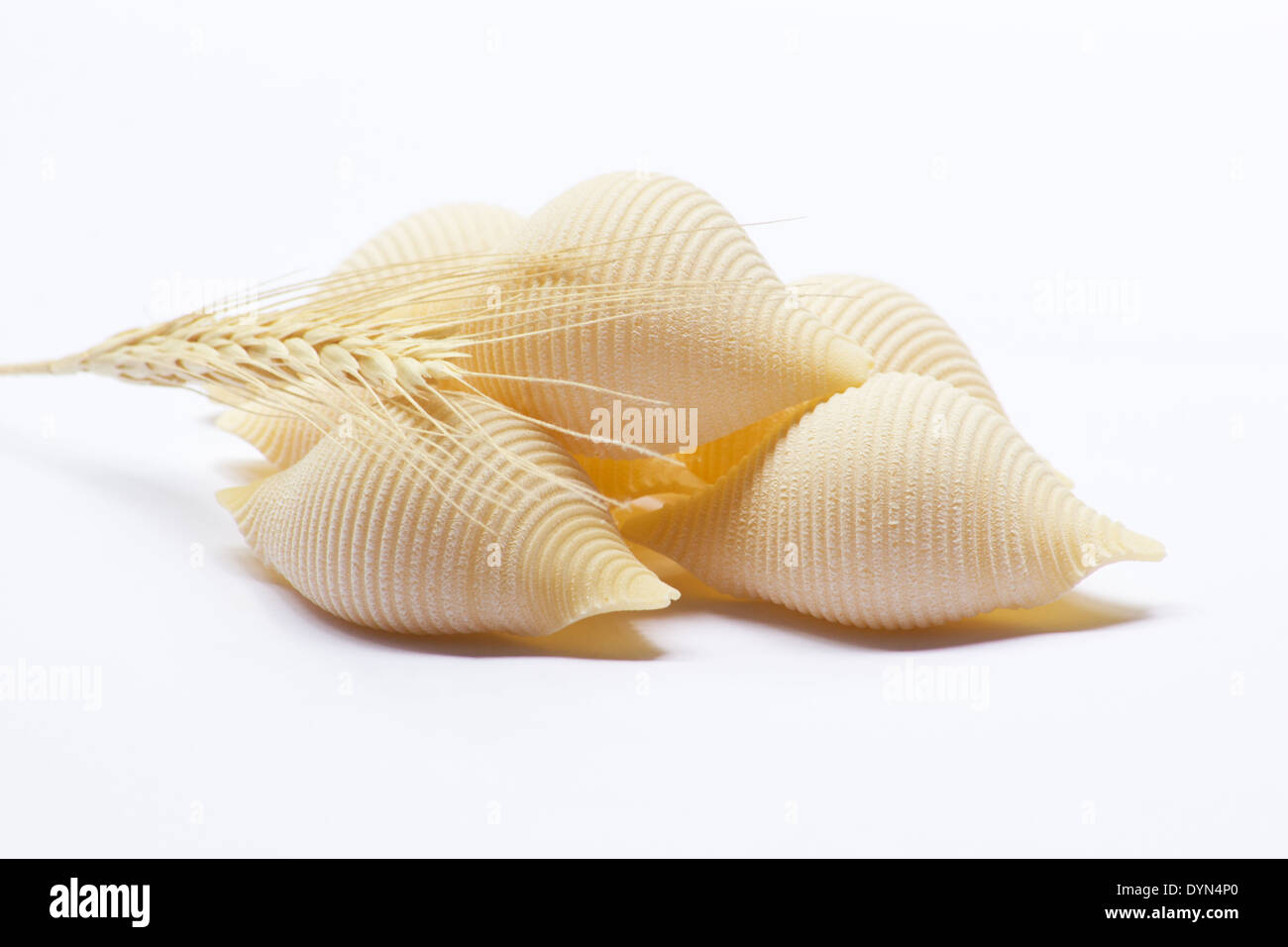 Concha shape Cut Out Stock Images & Pictures - Alamy