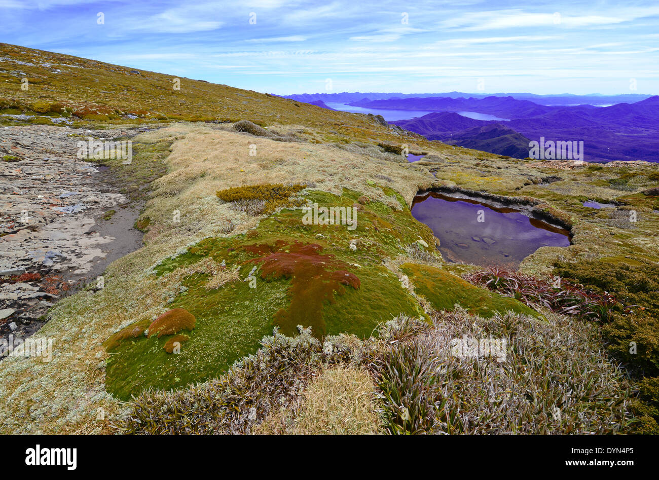 Remote landscape of Southwest National Park, Tasmania Stock Photo - Alamy