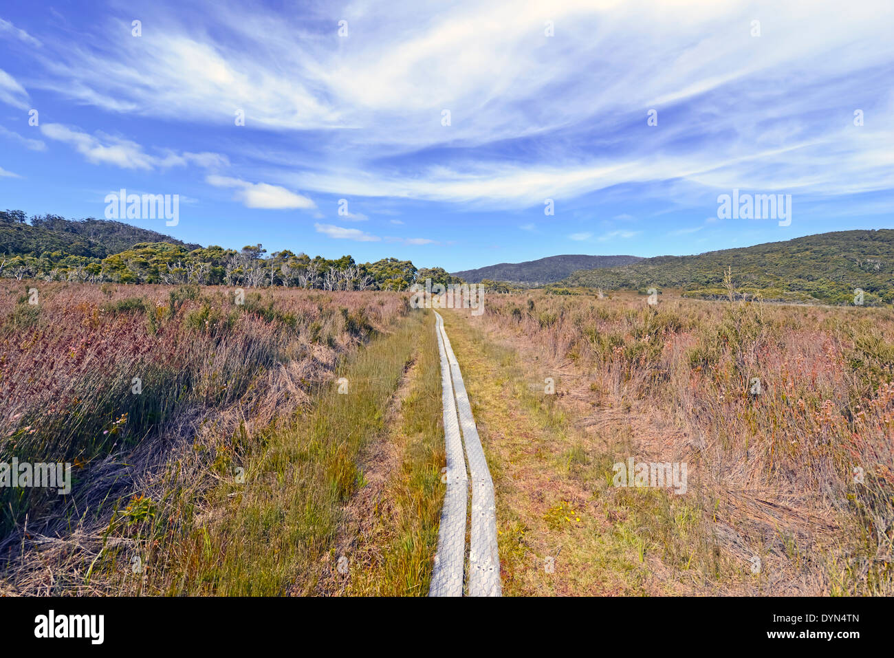 Remote landscape of Southwest National Park, Tasmania Stock Photo - Alamy
