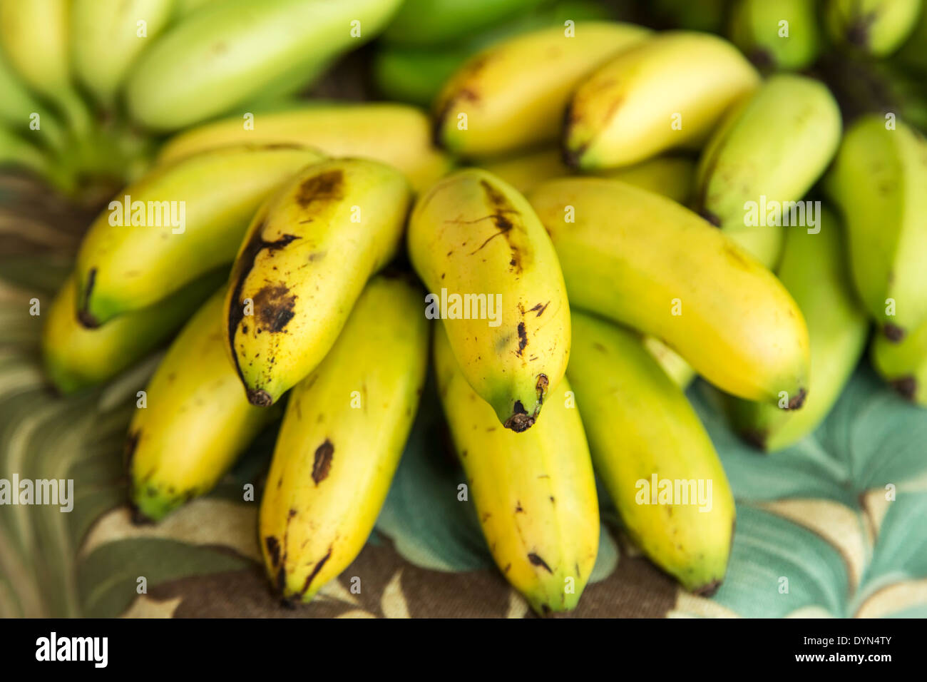 Ninos hi-res stock photography and images - Alamy