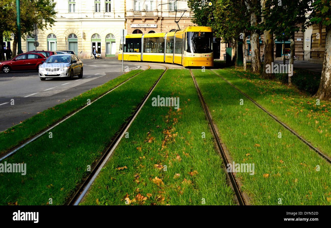 Hungary Szeged tram railways with green grass Stock Photo - Alamy