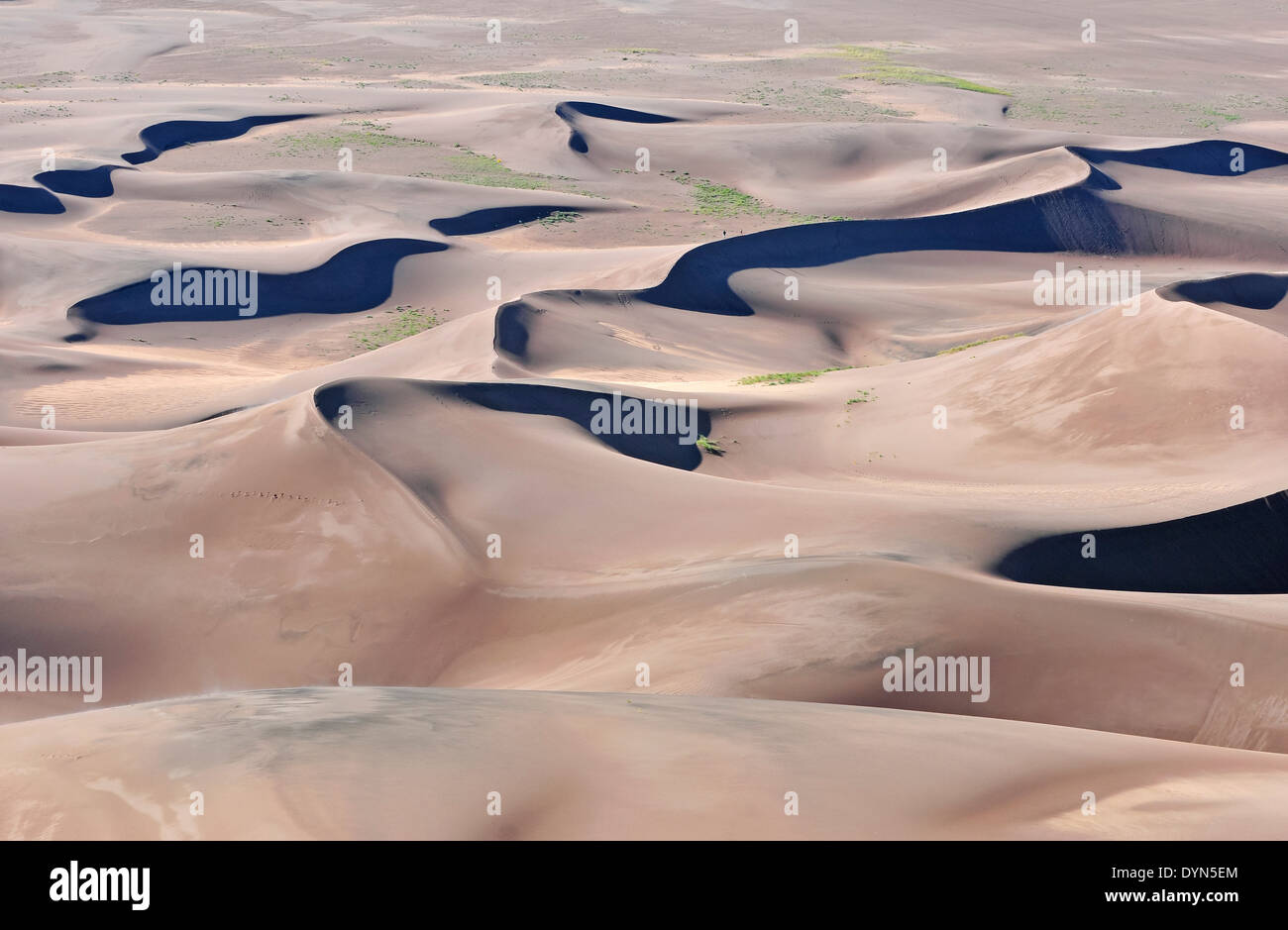 Ripples and shadows in the sand dunes Stock Photo - Alamy
