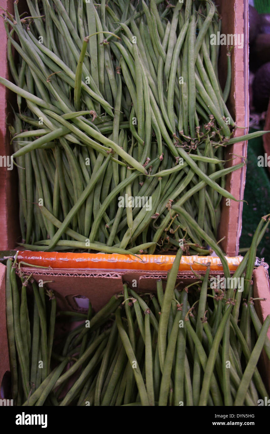fresh haricot verts (green beans) displayed at a food market Stock ...