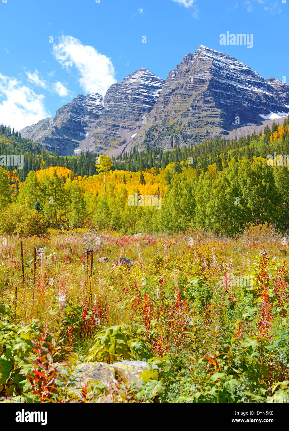 Aspen trail rv hi-res stock photography and images - Alamy