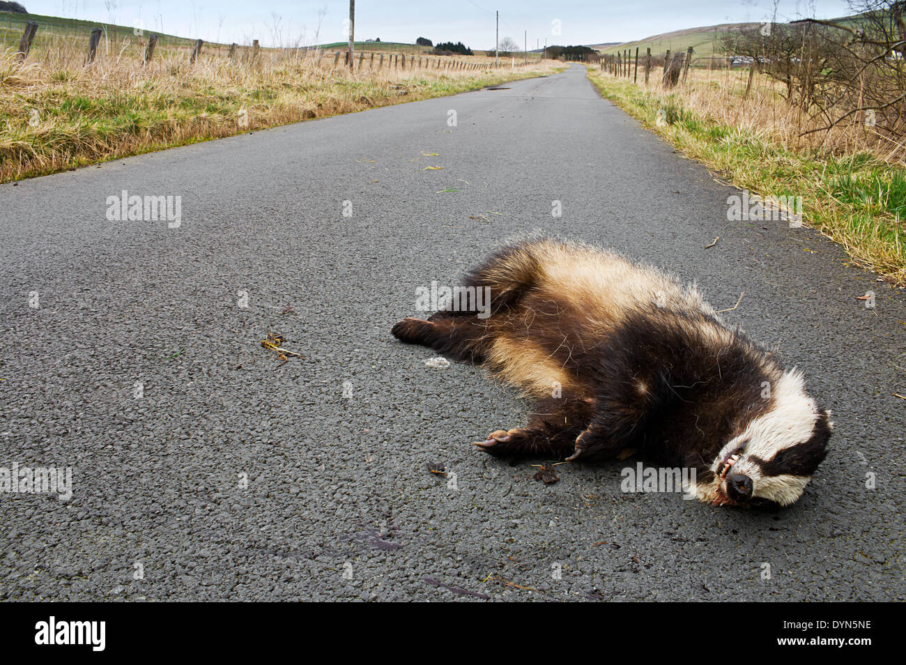 Hazardous nature victim danger hi-res stock photography and images - Alamy