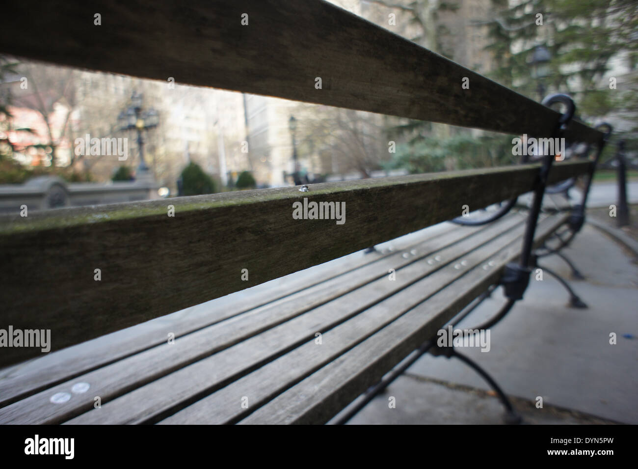 wooden park bench photographed from behind Stock Photo - Alamy