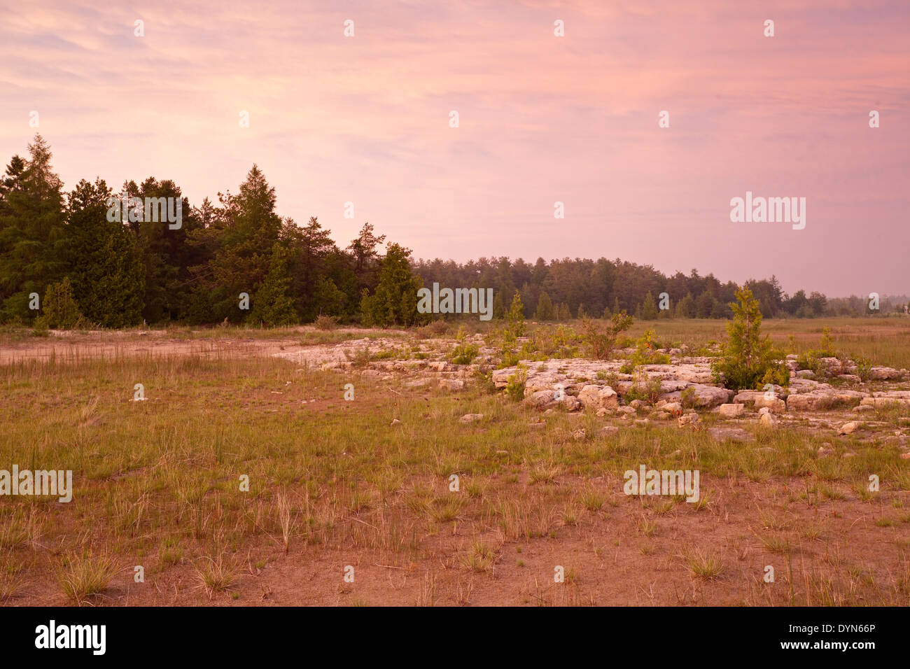 Limestone rock cedar trees and a grassy sandy area under a colorful sky ...
