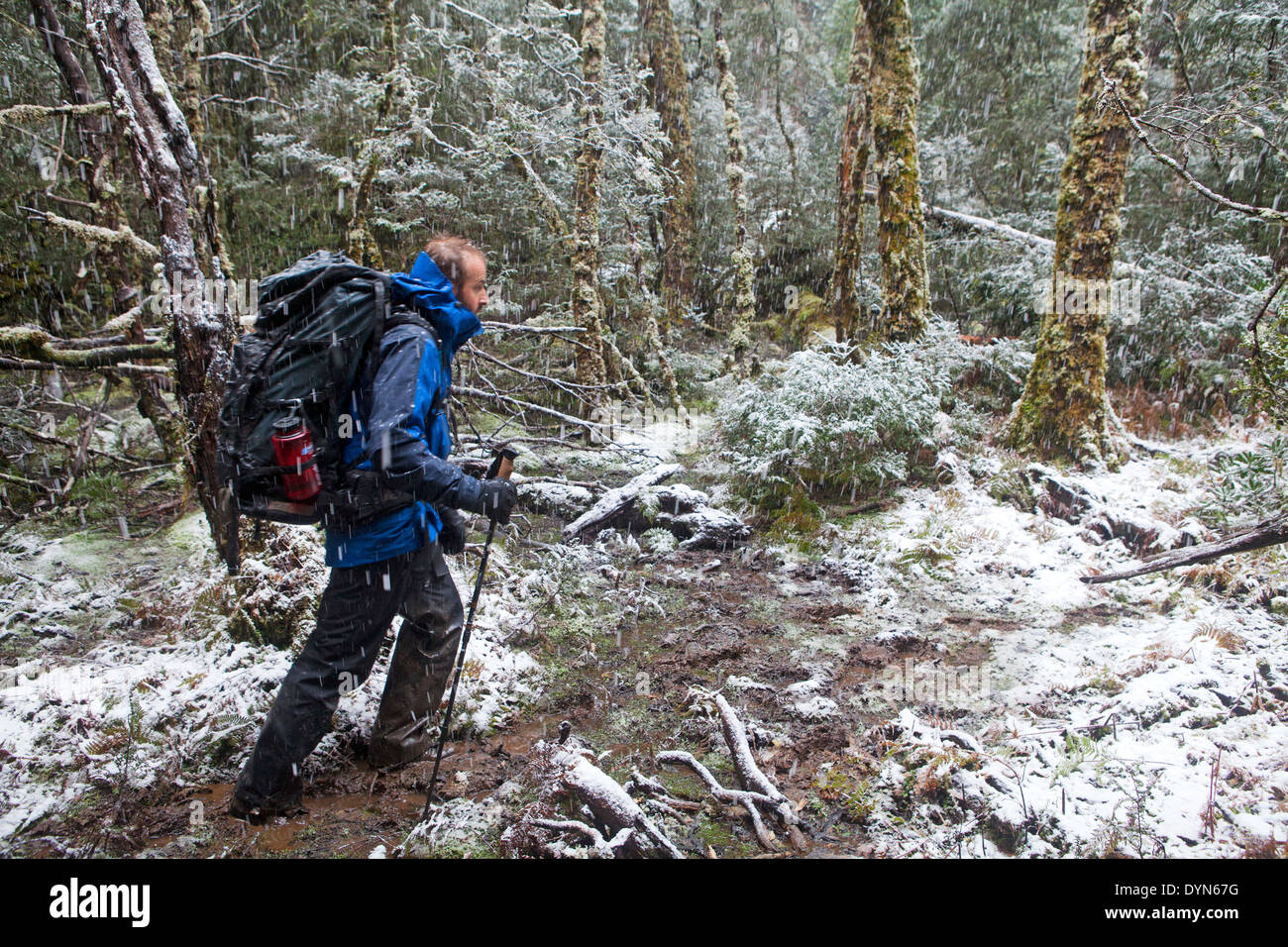 Cradle mountain tasmania snow hi-res stock photography and images - Alamy