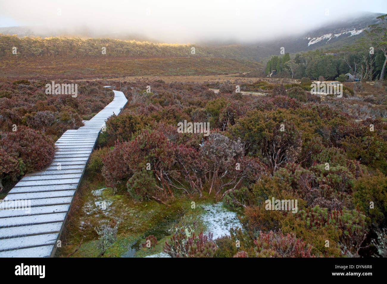 Winter scene on the Overland Track Stock Photo - Alamy