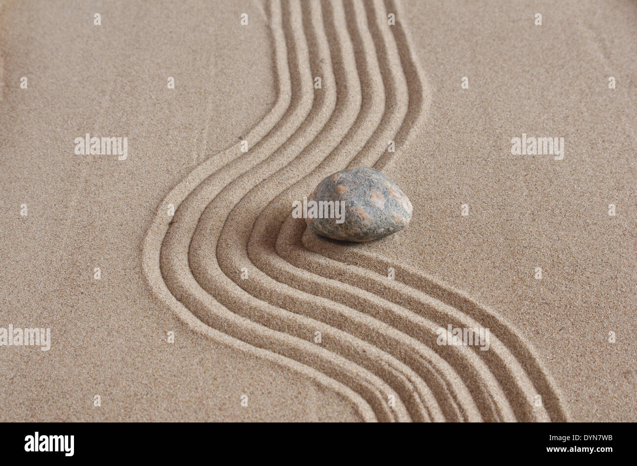 stone on a dry sand background Stock Photo - Alamy