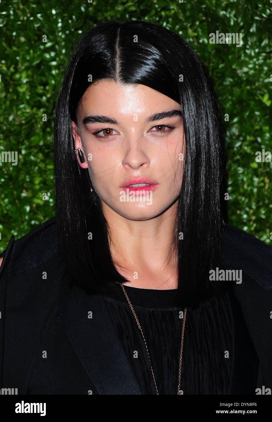 New York, NY, USA. 22nd Apr, 2014. Crystal Renn at arrivals for 9th ...