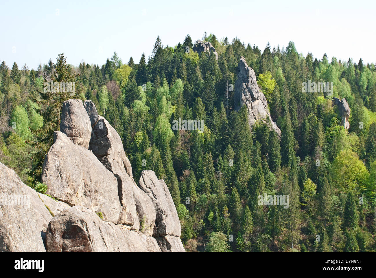 Rock and trees in summer Stock Photo - Alamy