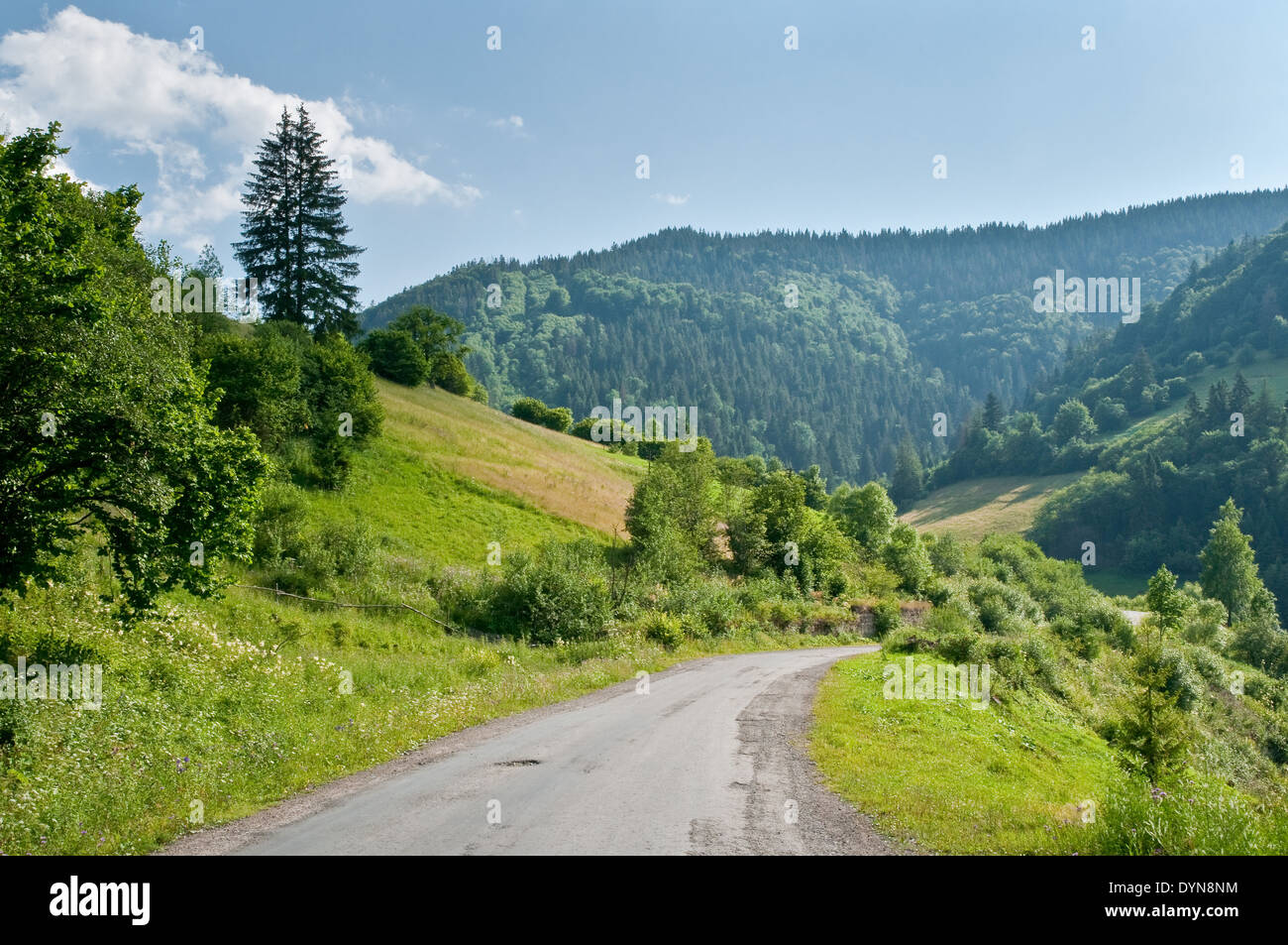 Landscape forest plain mountains hi-res stock photography and images ...