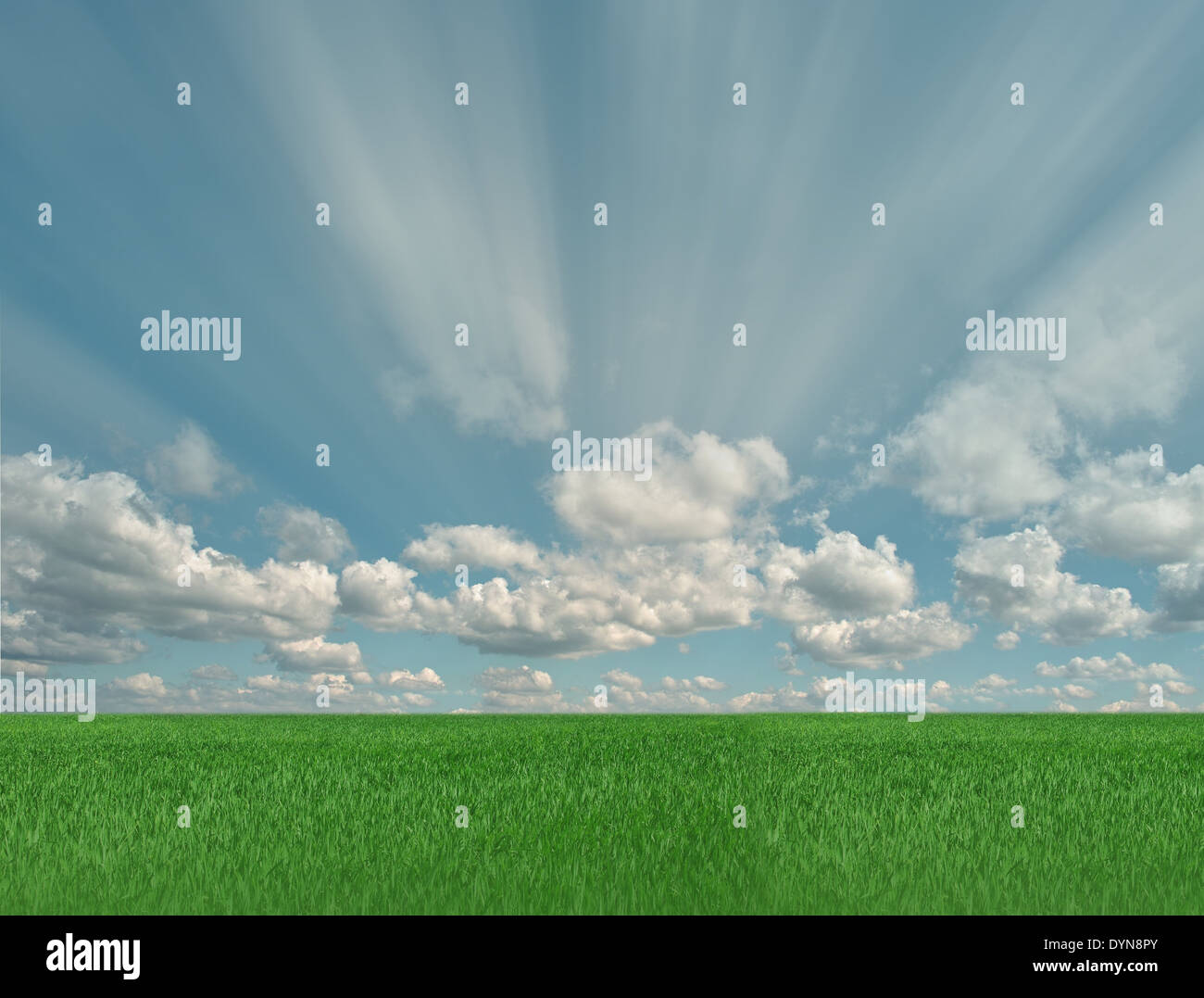 infinite the green meadow on background of sky from clouds Stock Photo ...