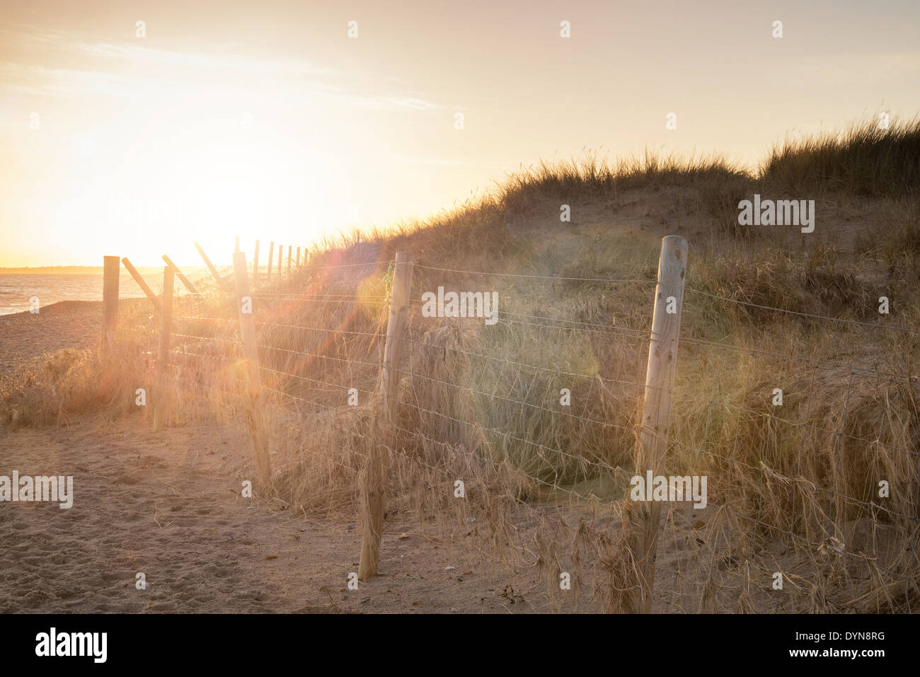 Beautiful sunlight landscape with added lens flare effect Stock Photo ...