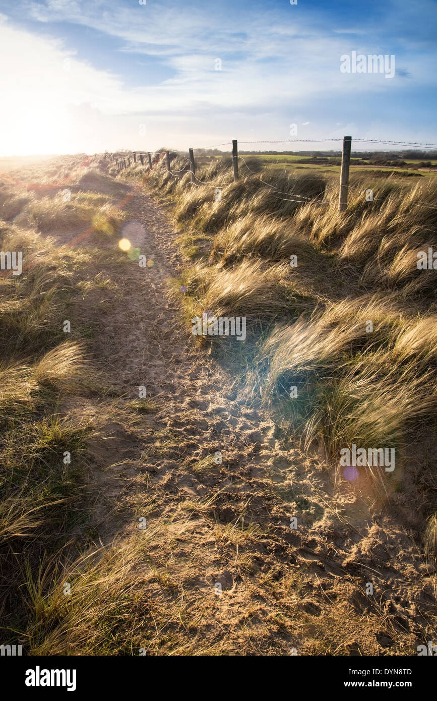 Lens flare beach hi-res stock photography and images - Alamy
