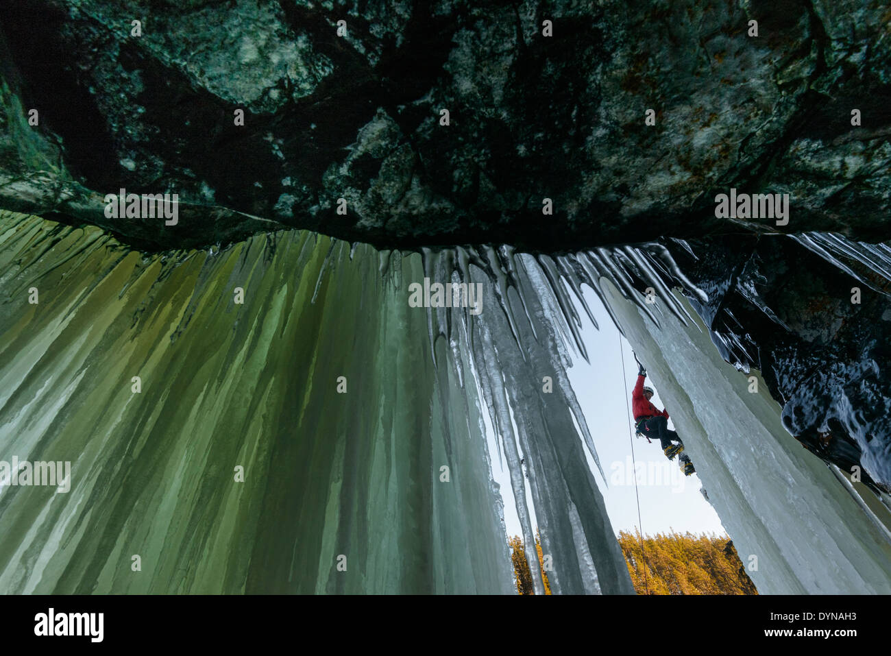 Mountain climber going up on icicle with axes Stock Photo - Alamy