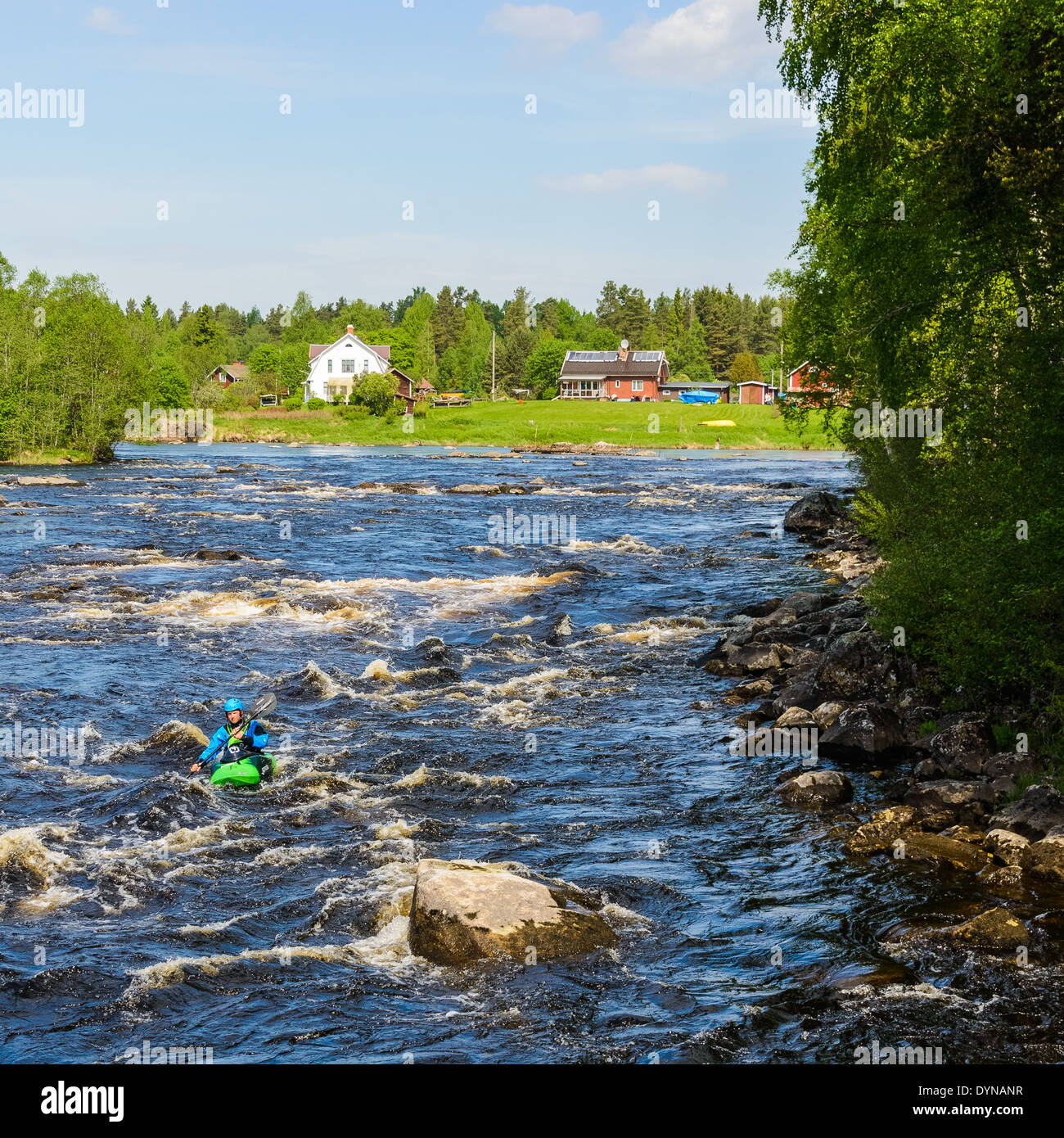 Kayaking on rapid river, Sweden Stock Photo - Alamy
