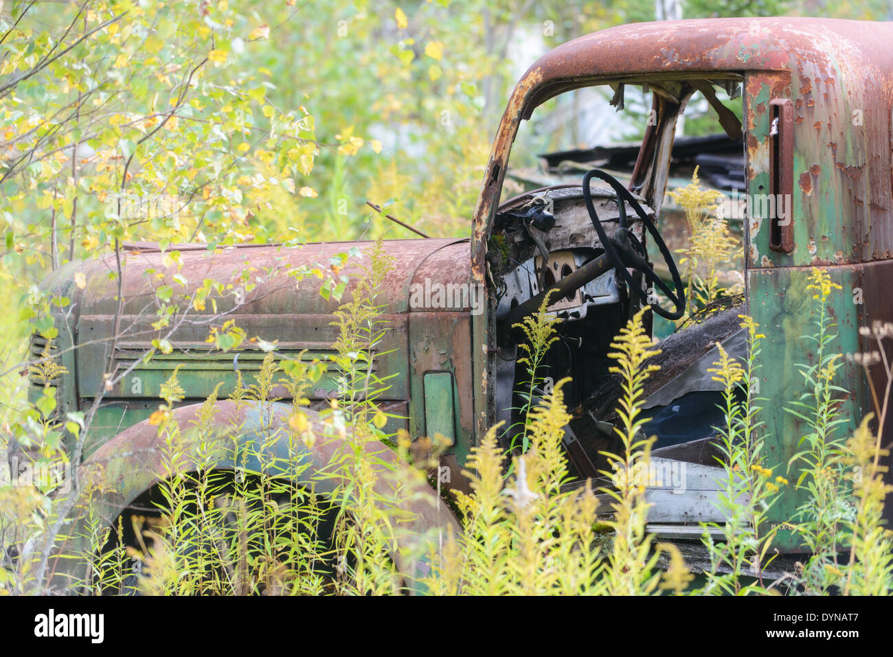 Vintage rusty farm truck Stock Photo - Alamy