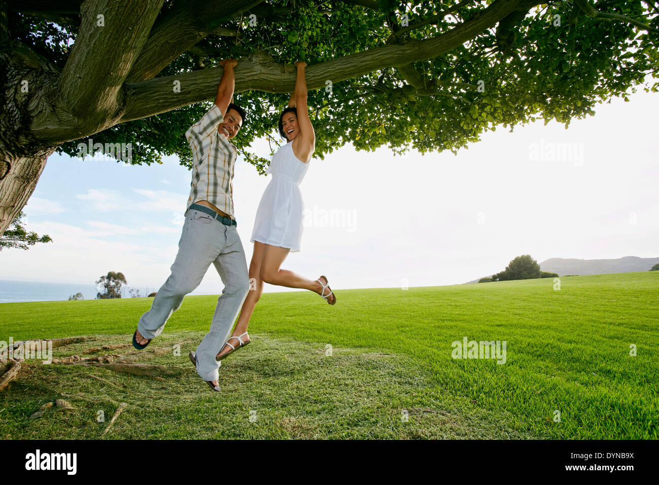 Couple hanging from tree branch in field Stock Photo - Alamy