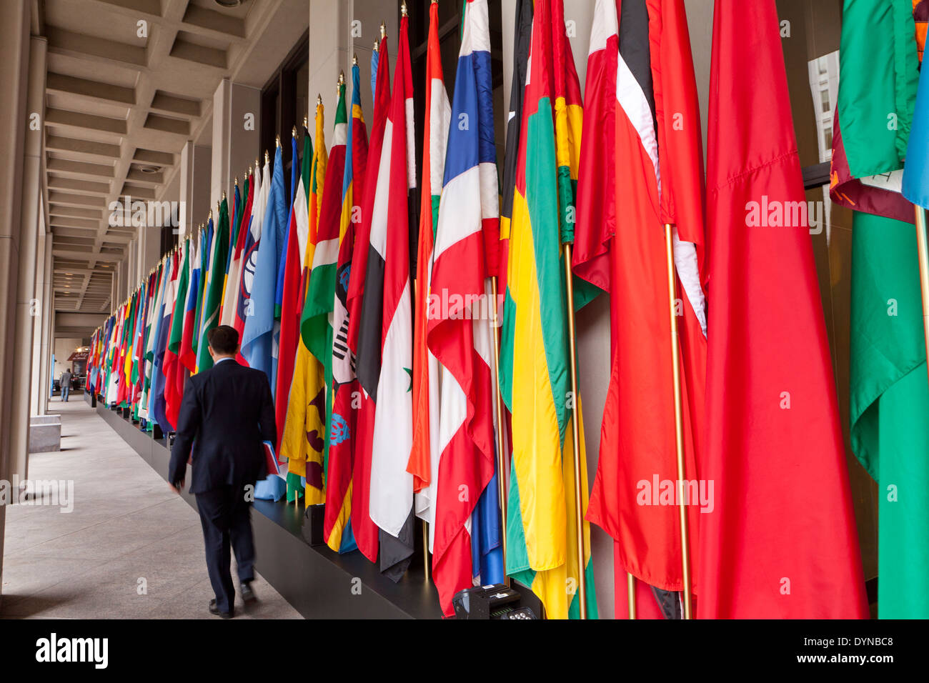 Man walking along a row of National flags - Washington, DC USA Stock ...