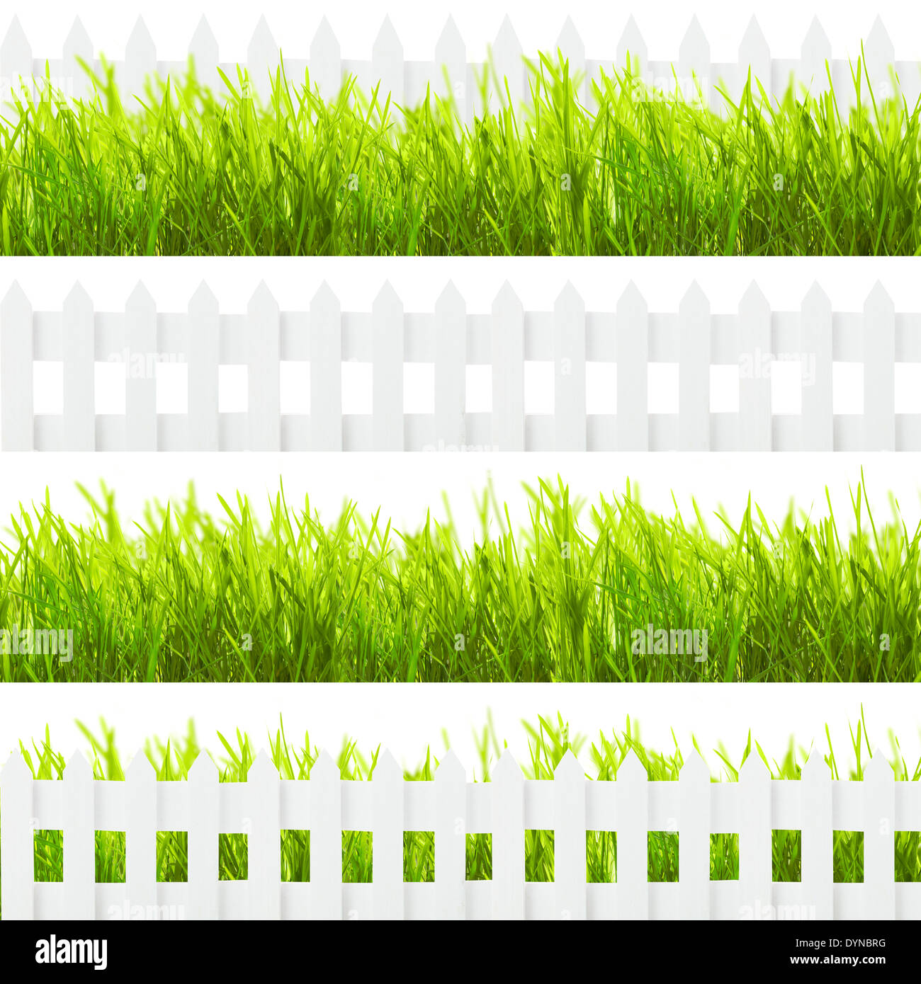 Green grass and fence Stock Photo - Alamy