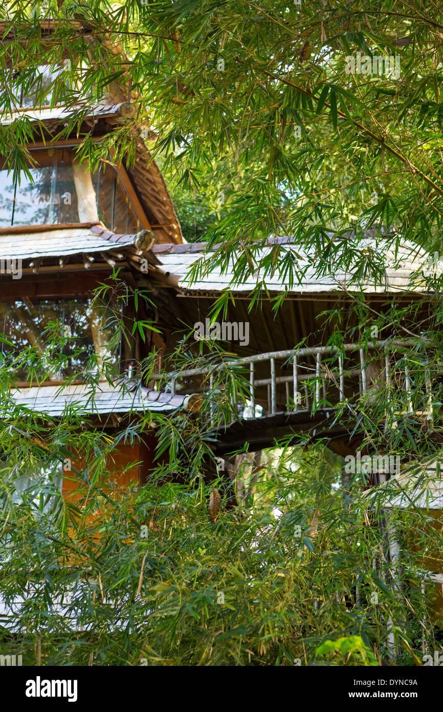Bamboo treehouse, Ubud, Bali, Indonesia Stock Photo - Alamy
