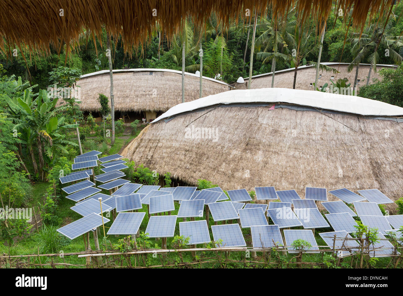 Solar panels in tropical garden Stock Photo - Alamy
