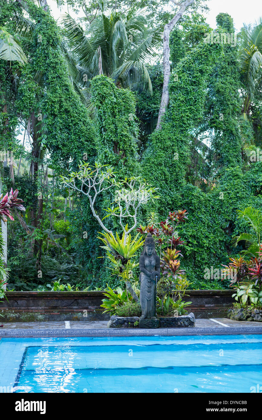 Plants and statue by swimming pool, Ubud, Bali, Indonesia Stock Photo ...